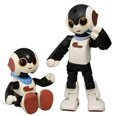 Robi robot